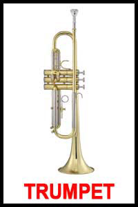 NEMC – Music Instrument Care Instructions